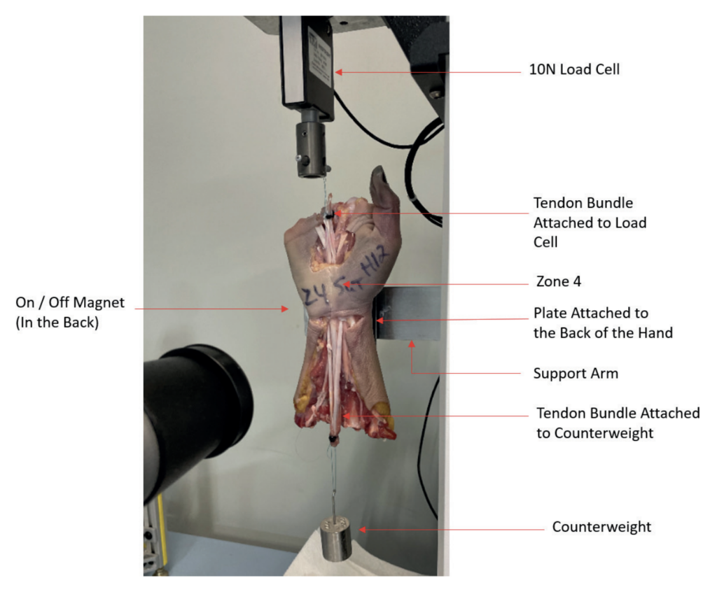 CoNextions TR Tendon Repair System Zone 4 Glide White Paper